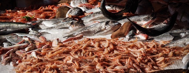 Vietnam Seafood Exporter - Sourcing, Shipping & Logistics.